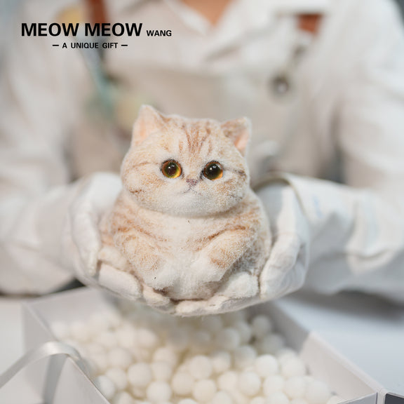 C30:Orange And White Tabby Cat – Squishy Wang Diy