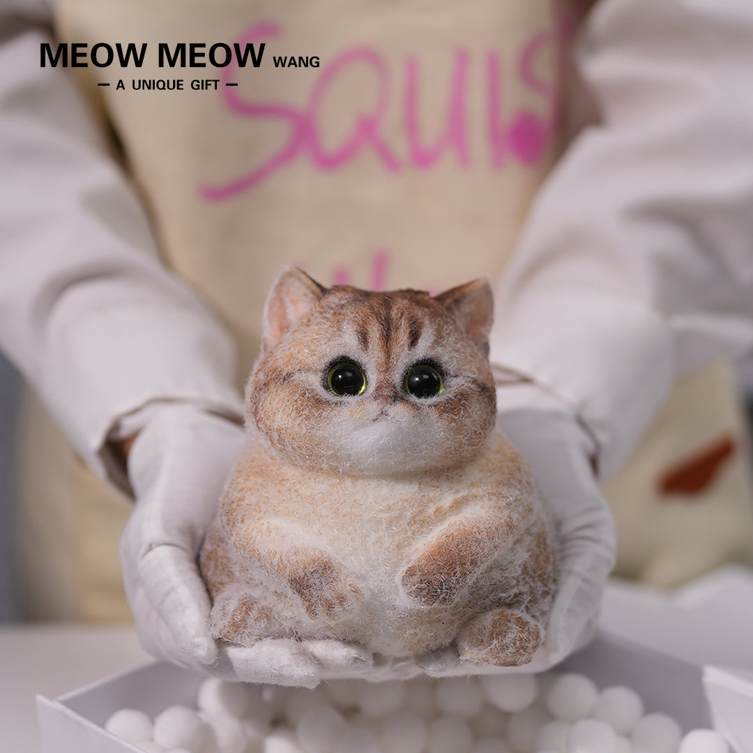 C02: Cute Chubby Squishy Kitty with Pink Ear – Squishy Wang Diy