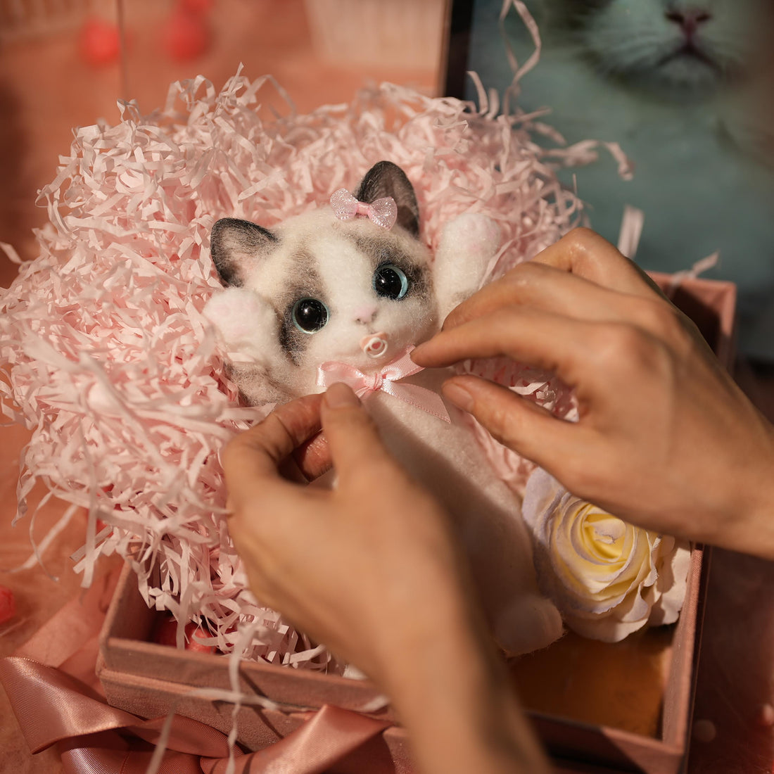 A06:Cute Ragdoll Squishy Cat – Squishy Wang Diy