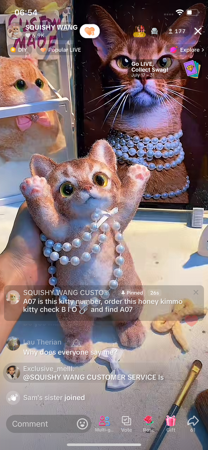 Products – Squishy Wang Diy
