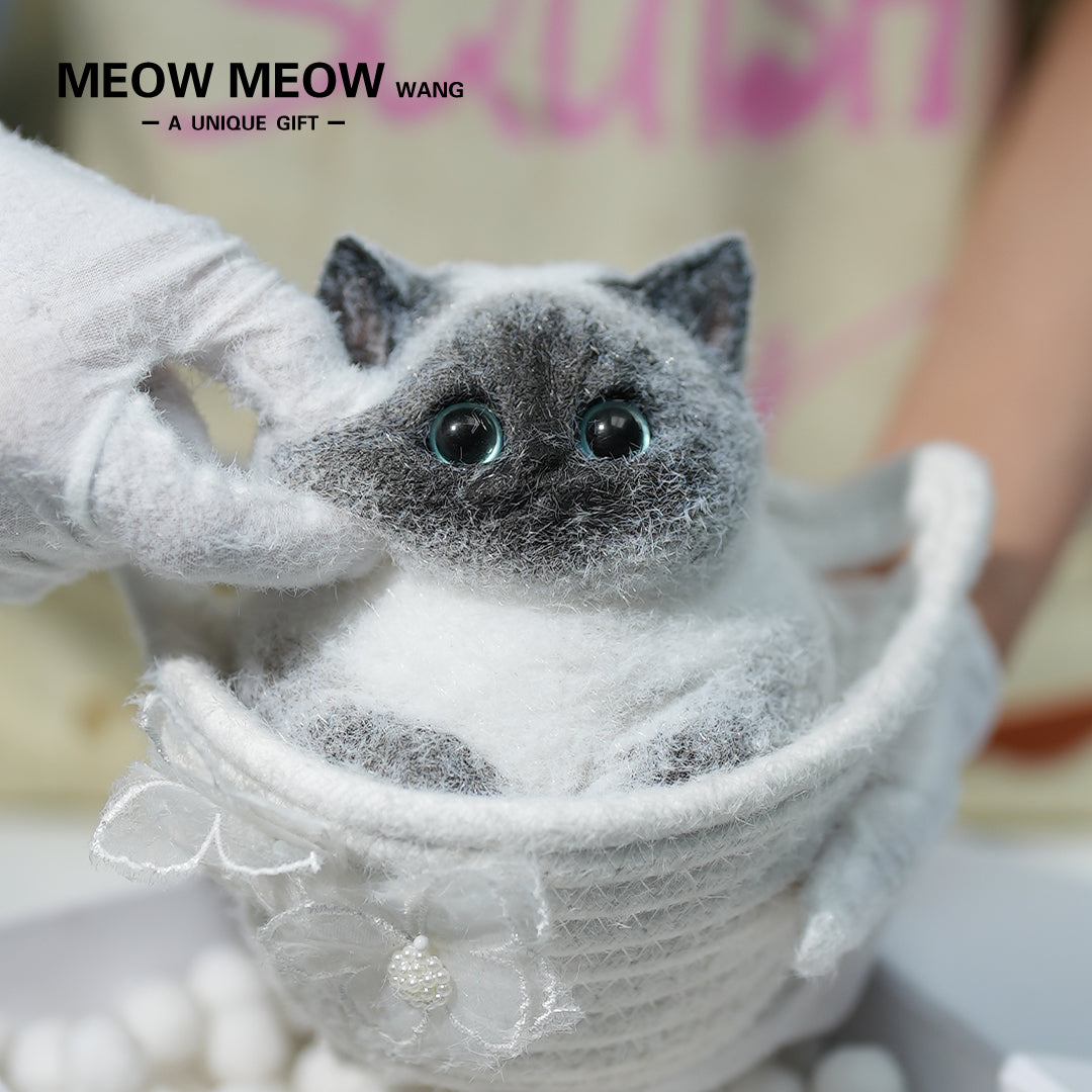 C11: Super Cute Special Siamese Chubby Squishy Kitty – Squishy Wang Diy