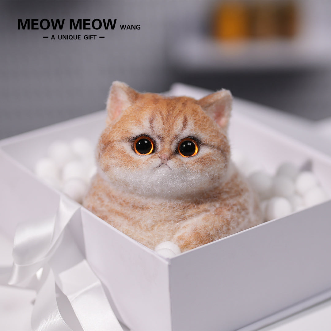 C05:Cute Angry Chubby Squishy Cat – Squishy Wang Diy
